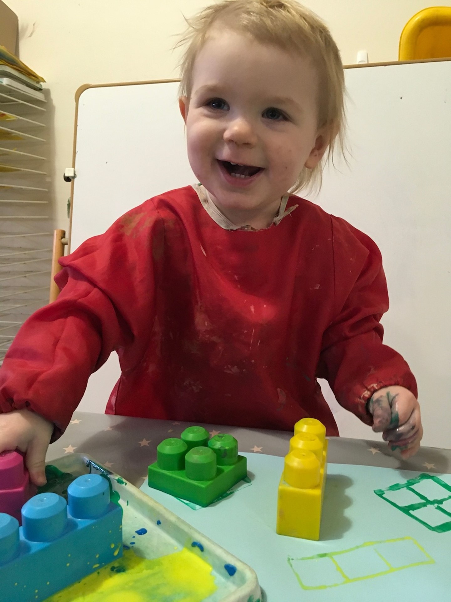 This Month at Coombe Dingle - February 2025 | Red Bus Nurseries