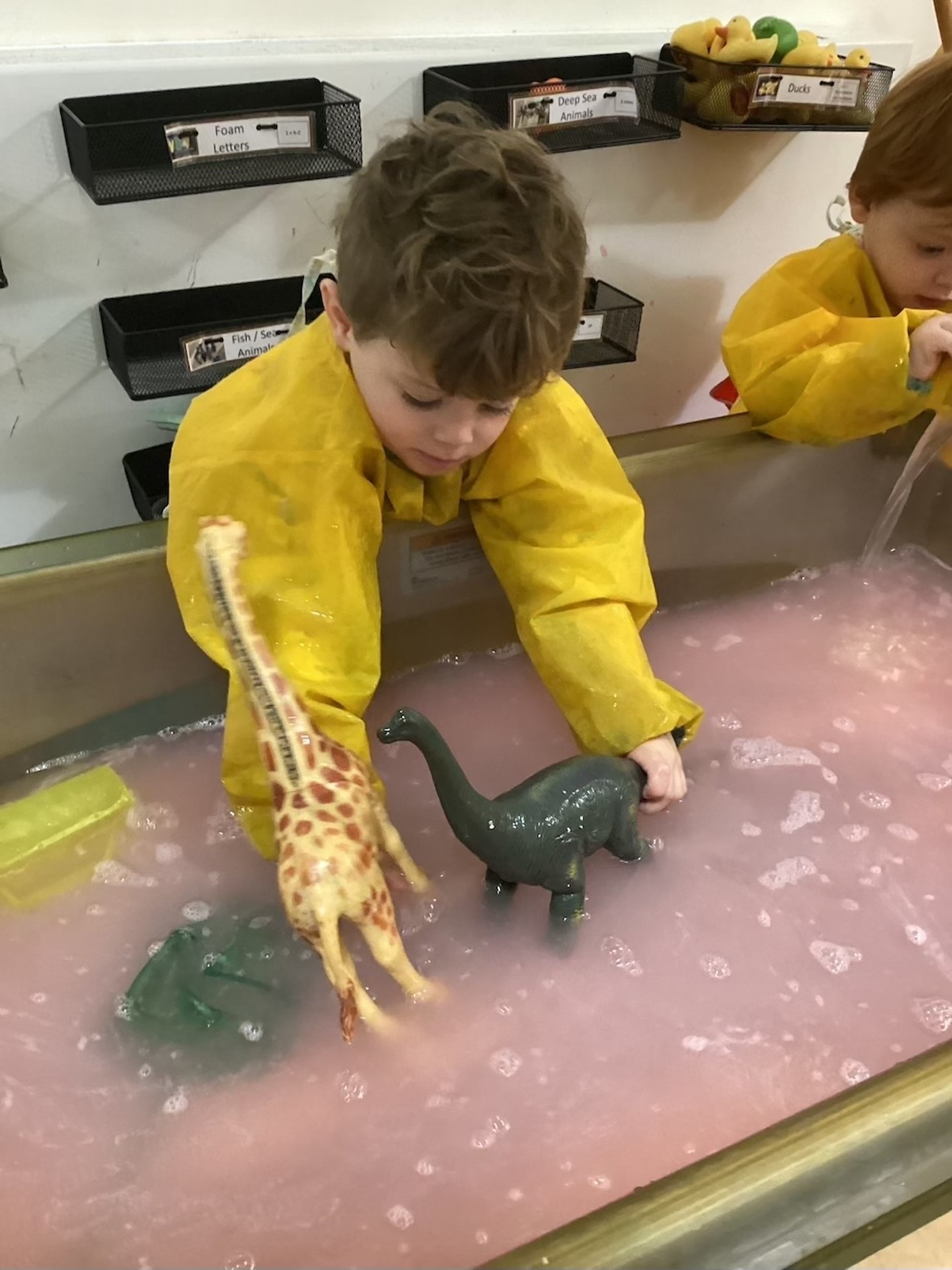 This Month at Coombe Dingle - December 2025 | Red Bus Nurseries