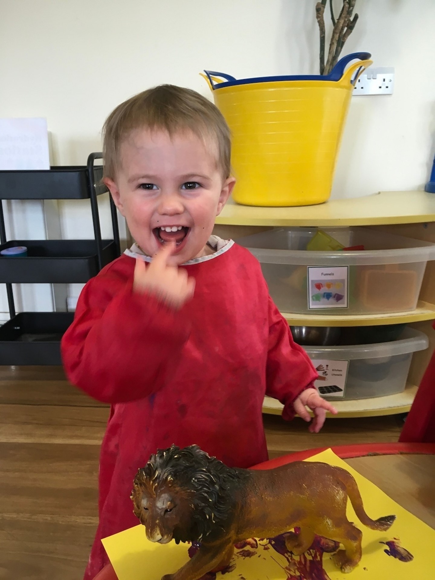 This Month at Coombe Dingle - December 2025 | Red Bus Nurseries