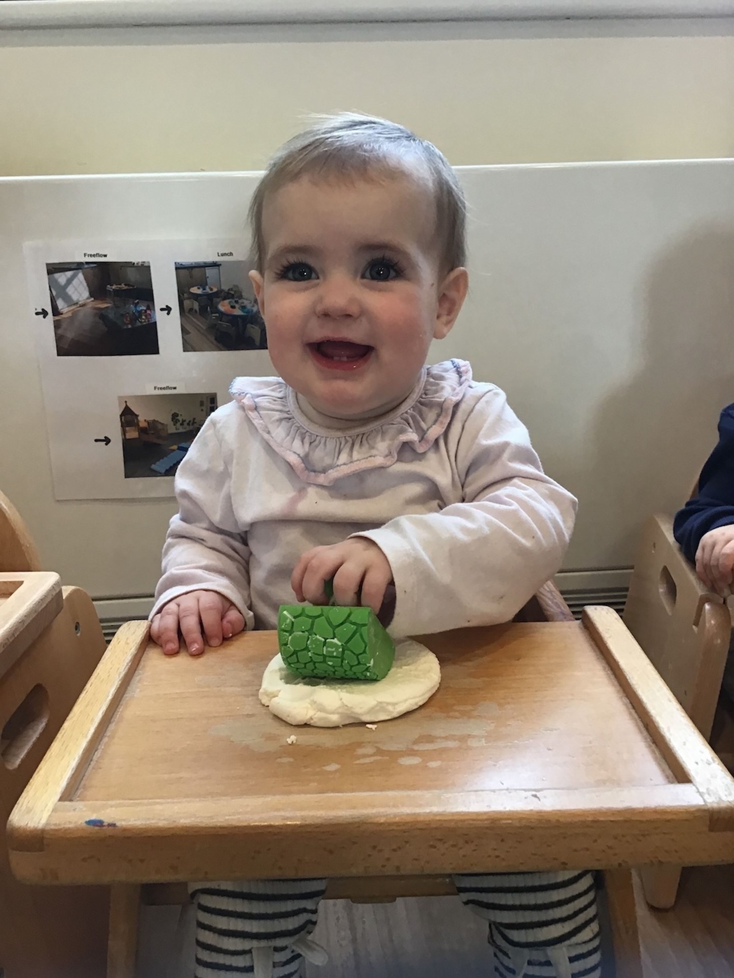 This Month at Coombe Dingle - December 2025 | Red Bus Nurseries