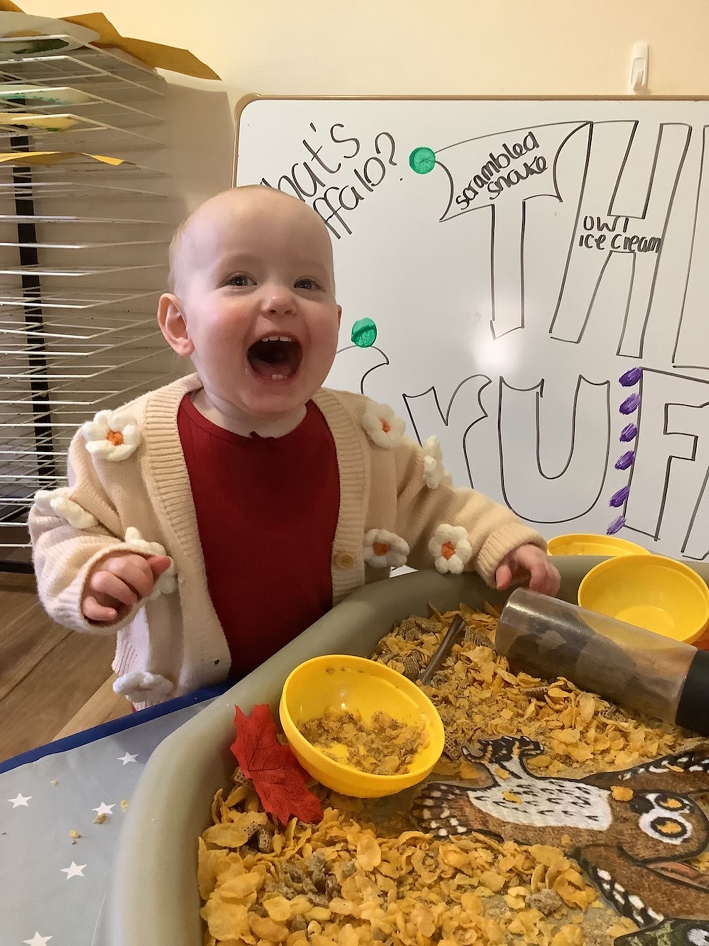 This Month at Coombe Dingle - February 2025 | Red Bus Nurseries