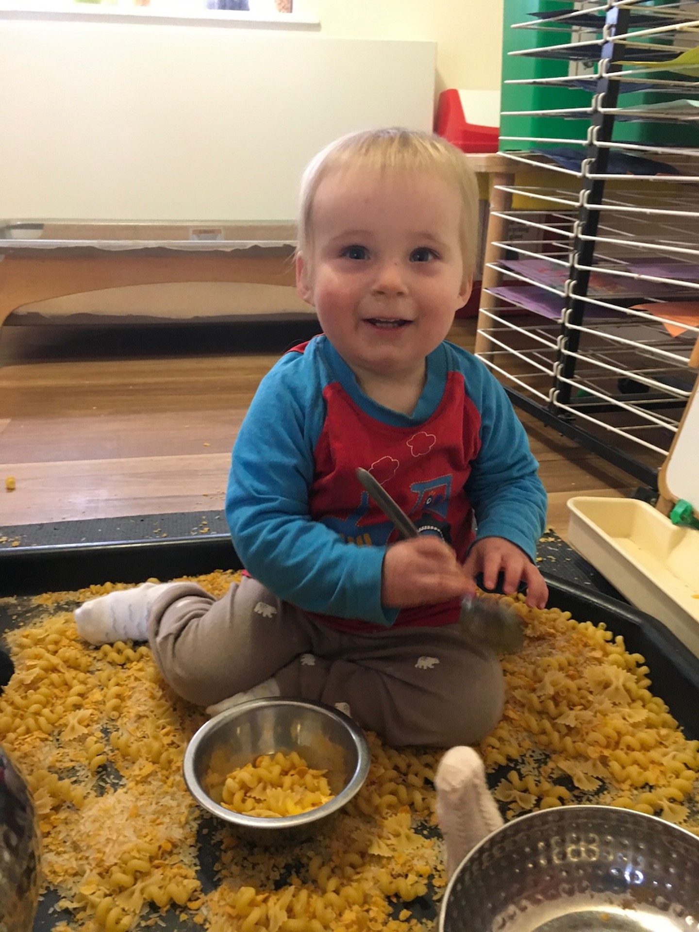 This Month at Coombe Dingle - February 2025 | Red Bus Nurseries