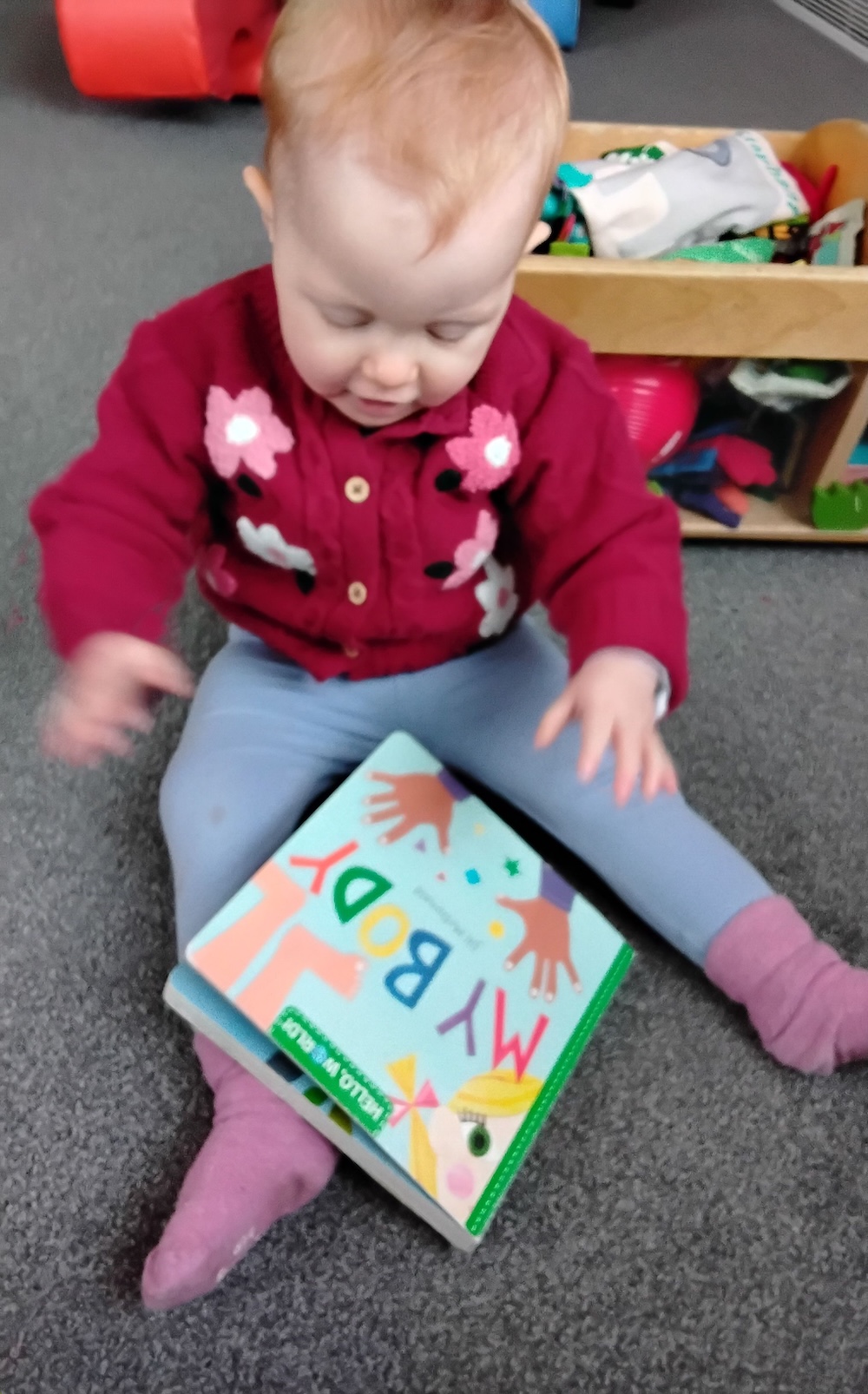 This Month at Downend - January 2026 | Red Bus Nurseries