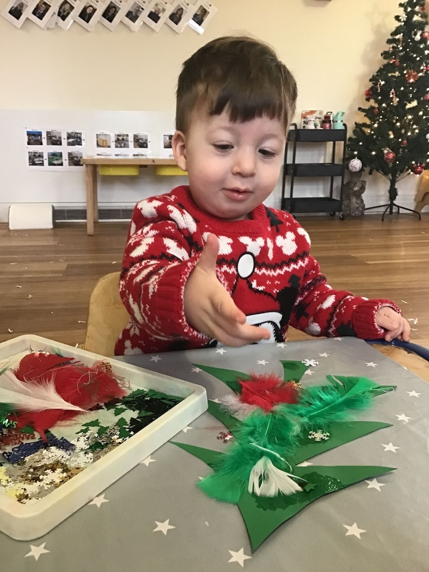 This Month at Coombe Dingle - December 2025 | Red Bus Nurseries