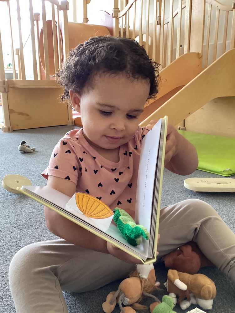 This Month at Downend - September 2025 | Red Bus Nurseries