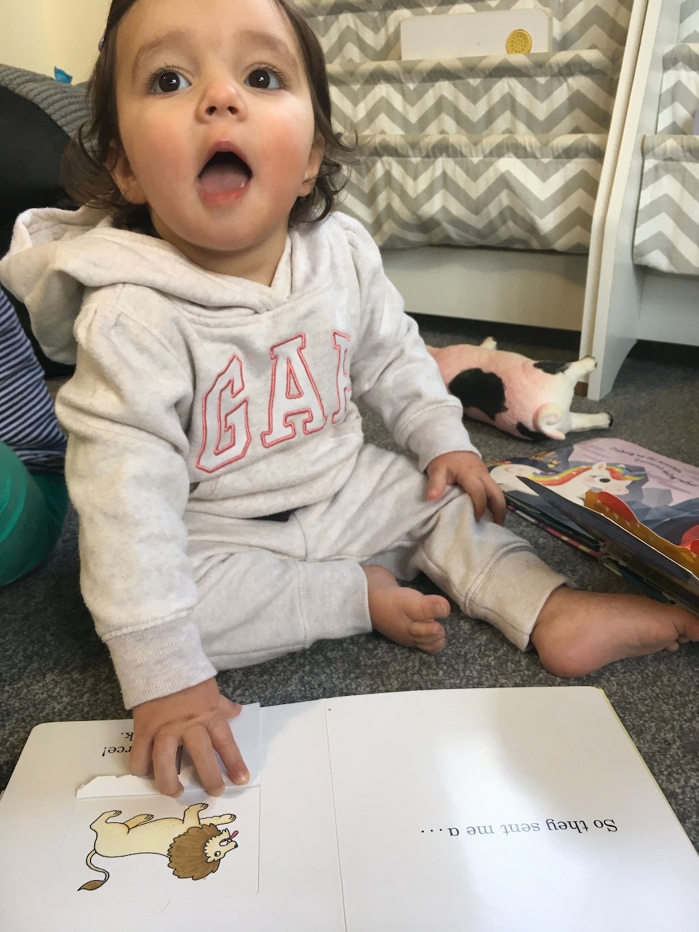 This Month at Coombe Dingle - February 2025 | Red Bus Nurseries