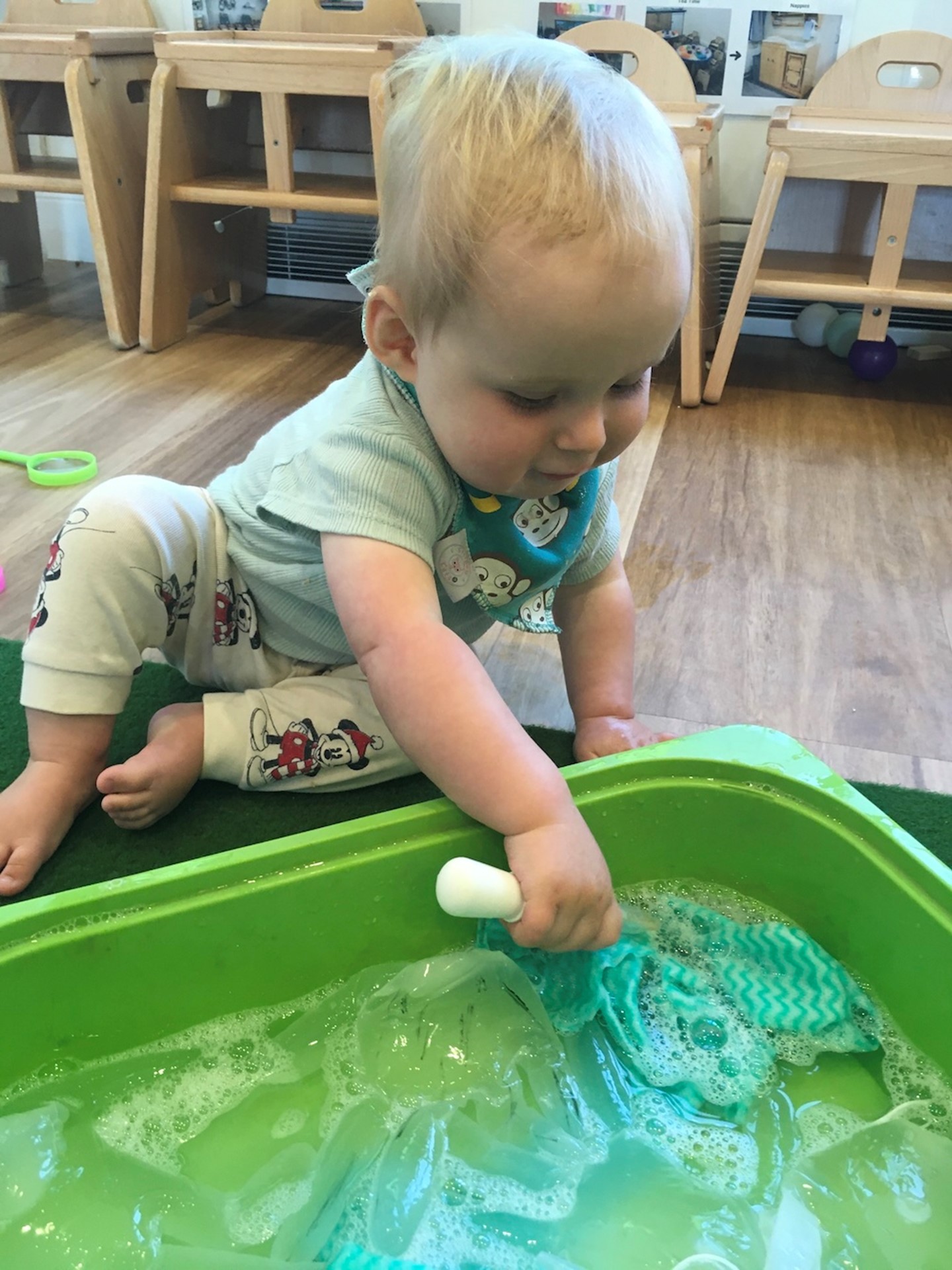 This Week at Coombe Dingle - WC 7th July 2025 | Red Bus Nurseries